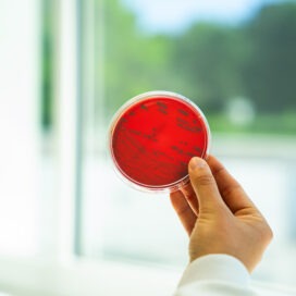 Nouvelle norme : ISO 7218:2024